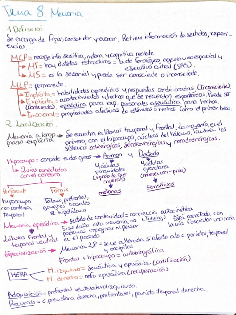 Tema 8 Esquemas | PDF