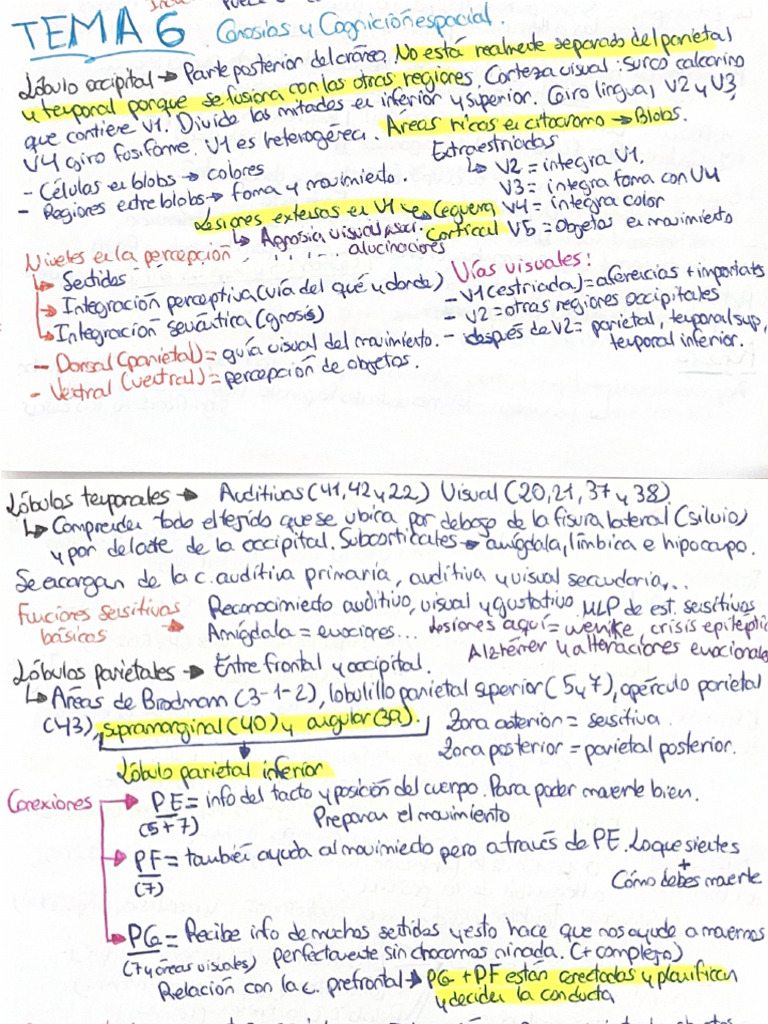 Tema 6 Esquemas | PDF