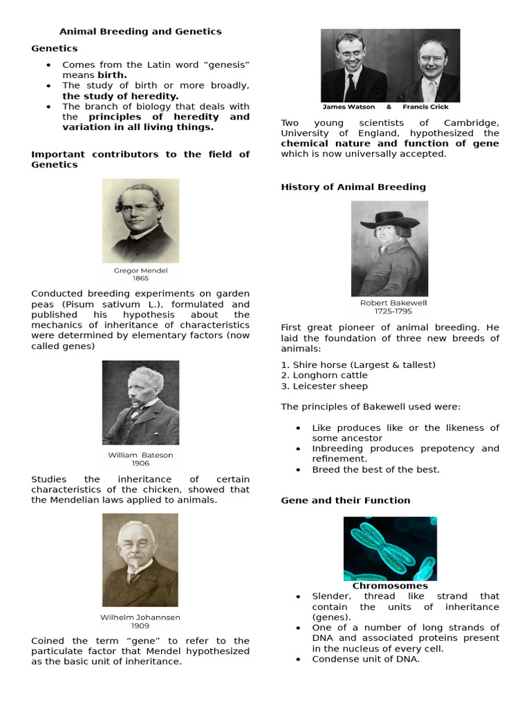 Animal Breeding and Genetics | PDF | Dominance (Genetics) | Zygosity