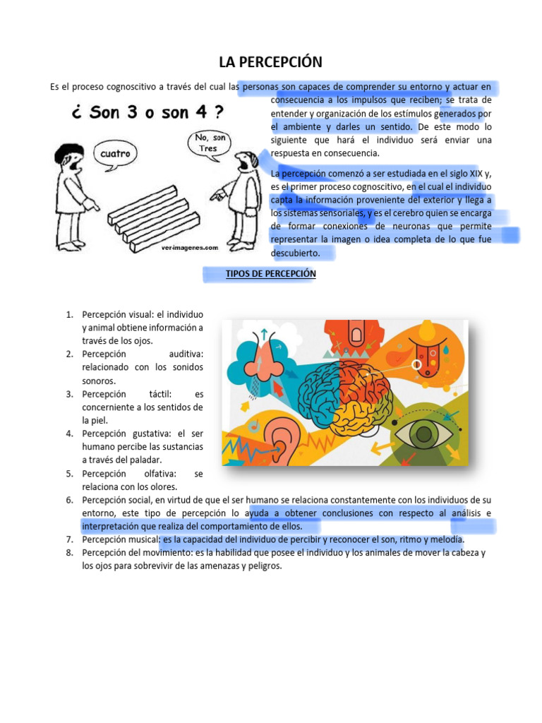 La Percepción | PDF | Percepción | Sentidos