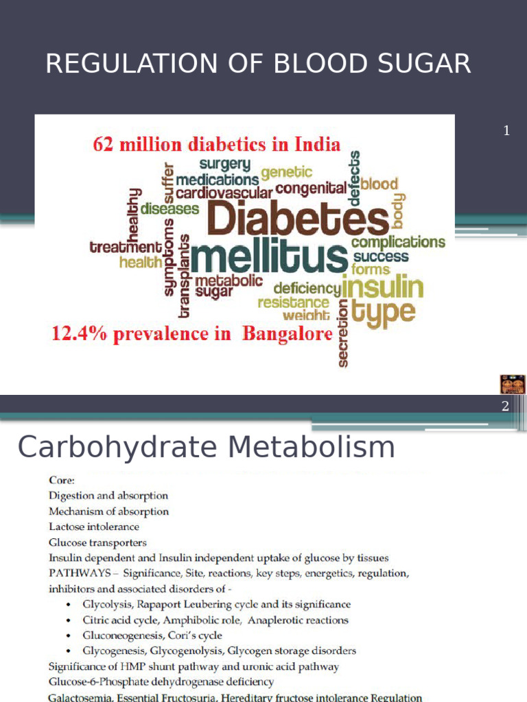 Blood Glucose Regulation in Diabetes | PDF | Hyperglycemia | Insulin