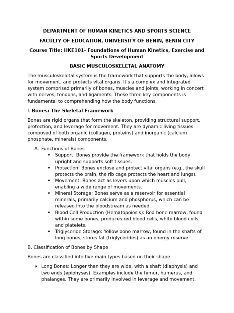 Basic Musculoskeletal System (Hke101) | PDF | Bone | Skeletal Muscle