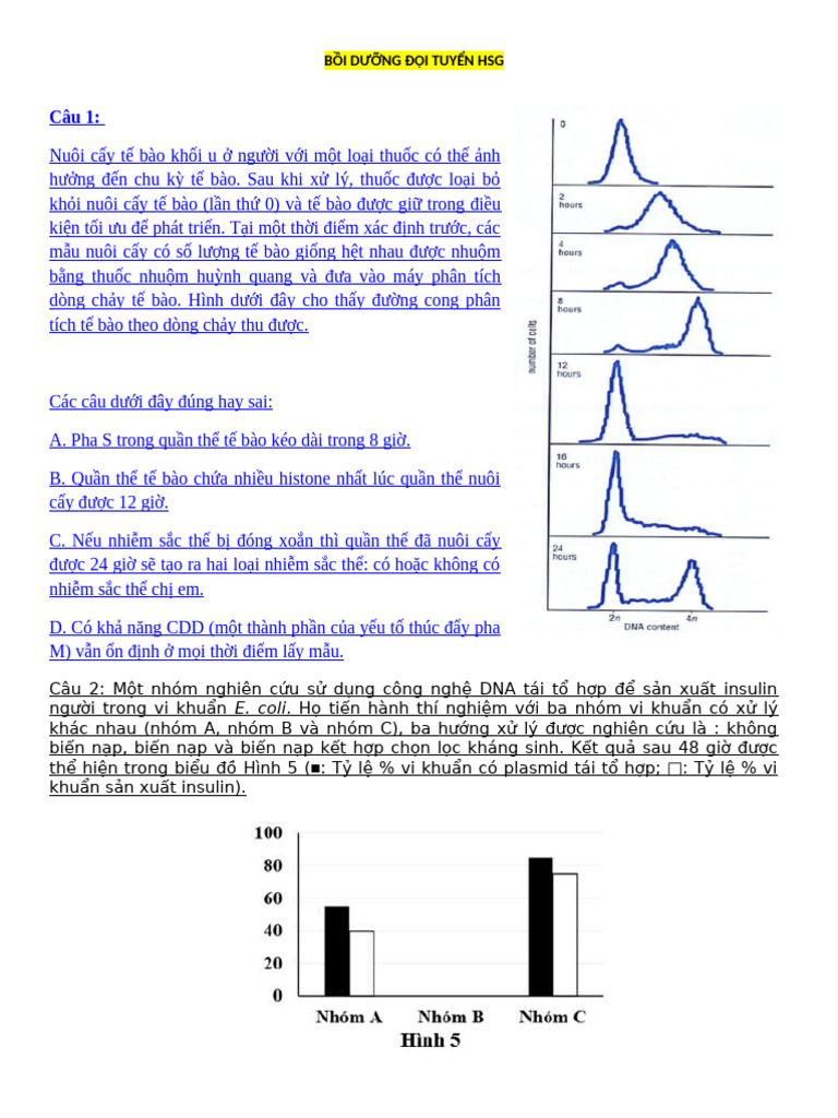 Luyện Đề Hsg Lop 12.10 | PDF