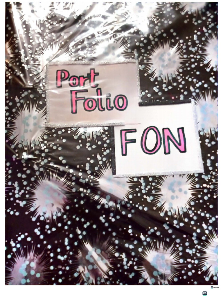 FON Portfolio 2 | PDF
