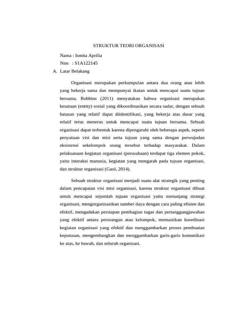 Struktur Teori Organisasi | PDF