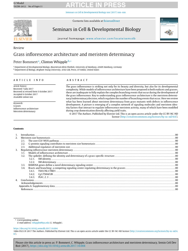 Grass Inflorescence Architecture and Meristem Determinacy | PDF ...
