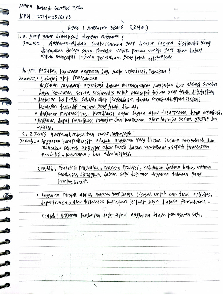 Tugas 1 Anggaran Bisnis Rolando Georgius Purba-223402516278 | PDF