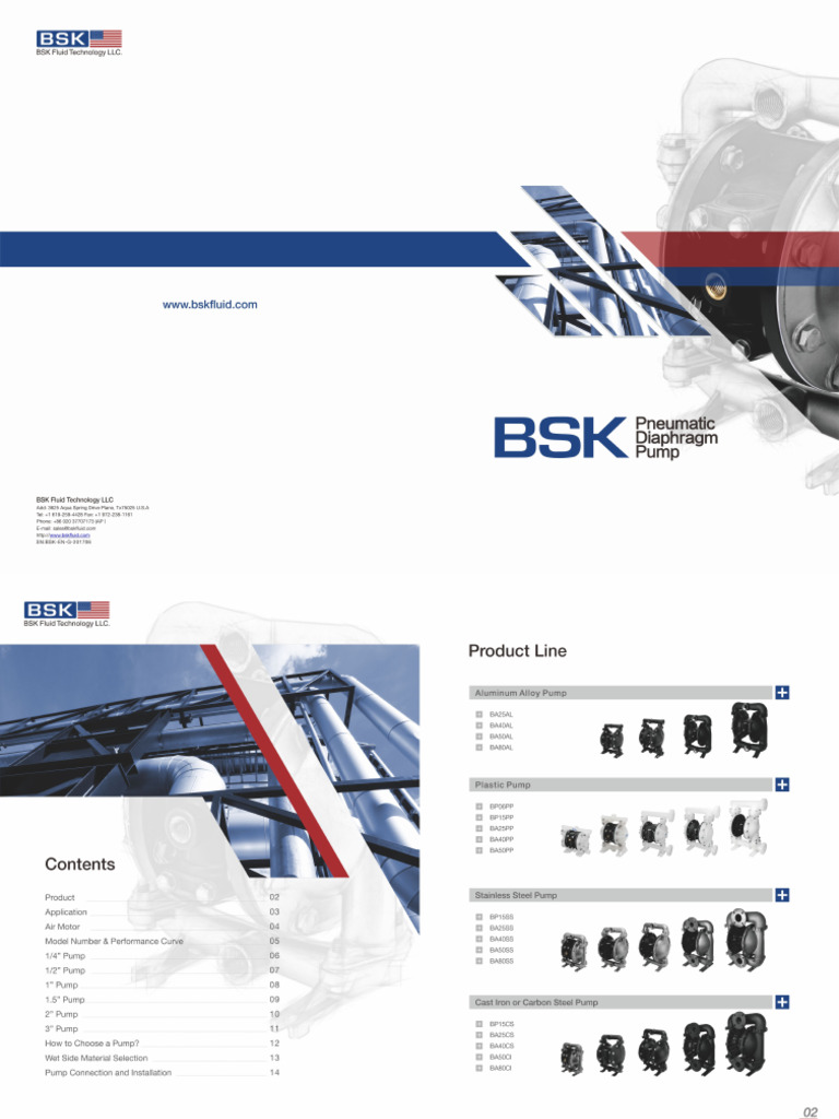 Brochure For BSK Pumps | PDF