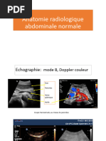 Anatomie des reins et leur vascularisation | PDF | Rein | Foie