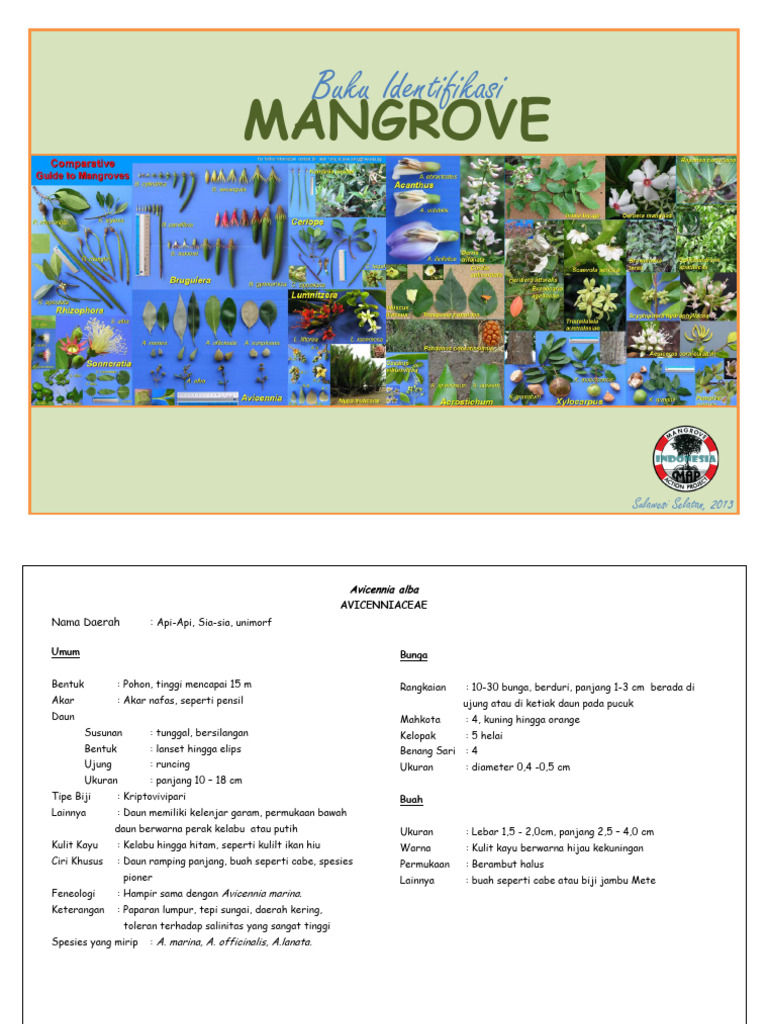 Buku Identifikasi Mangrove | PDF