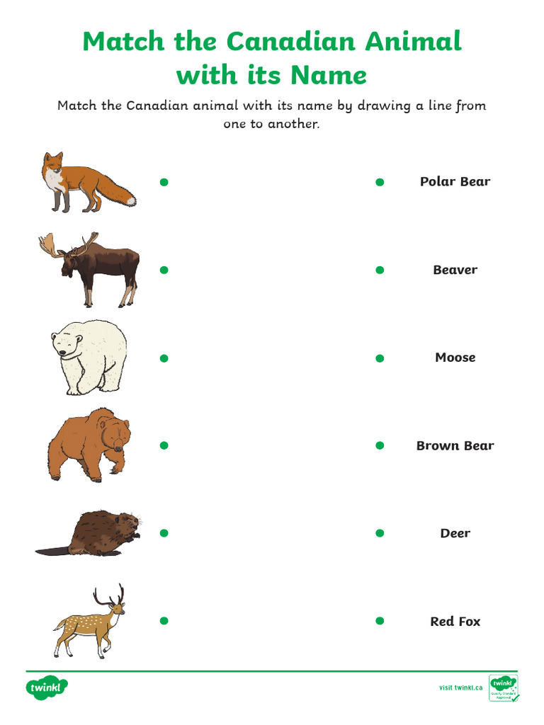 CA SC 133 Canadian Animals Match and Draw English Ver 2 | PDF