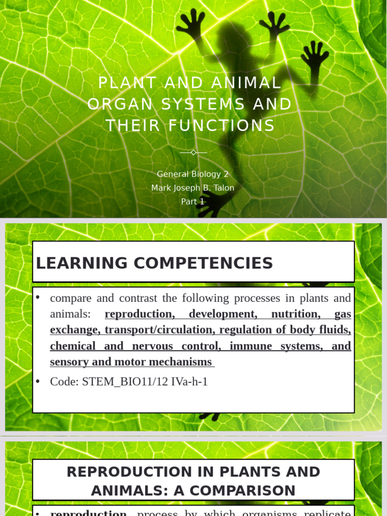 Plant and Animal Organ Systems and Their Functions - Gen Bio 2 - PART 1 ...