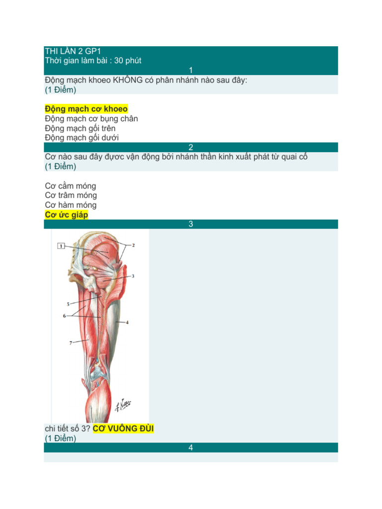 THI LẦN 2 GP1 | PDF