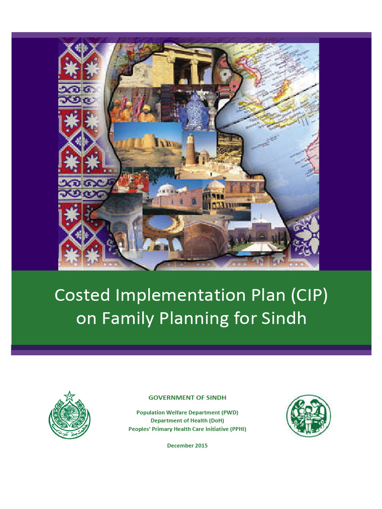 CIP Sindh-03 15 16-Final | PDF | Family Planning | Millennium ...