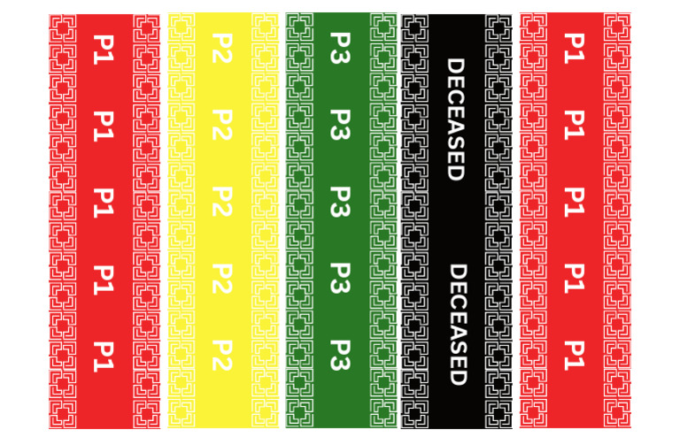 Triage Band | PDF