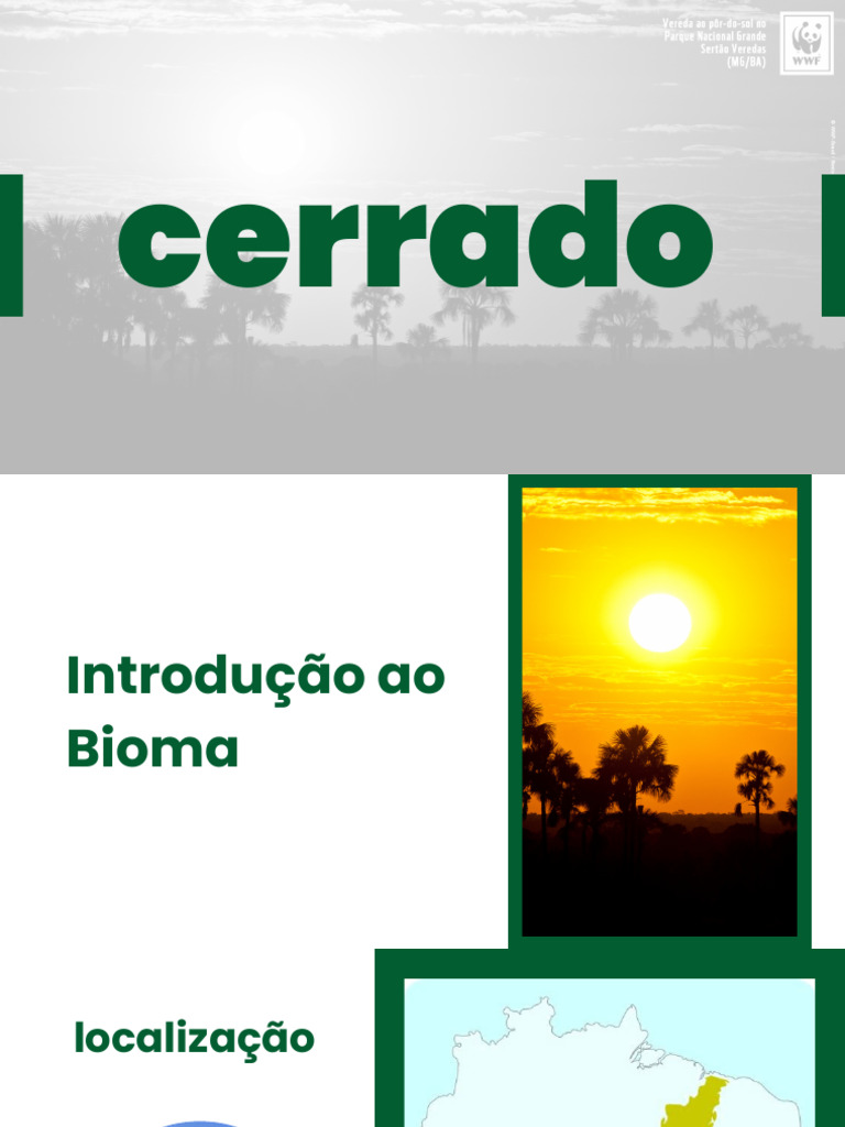 Slide Bio 20250601 225800 0000 | PDF