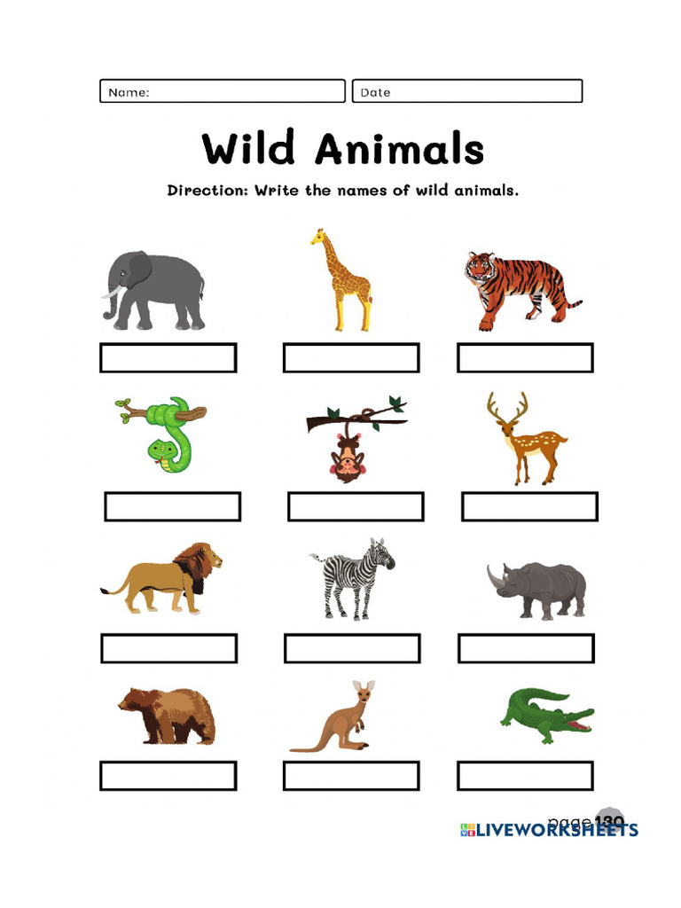 Wild Animals | PDF