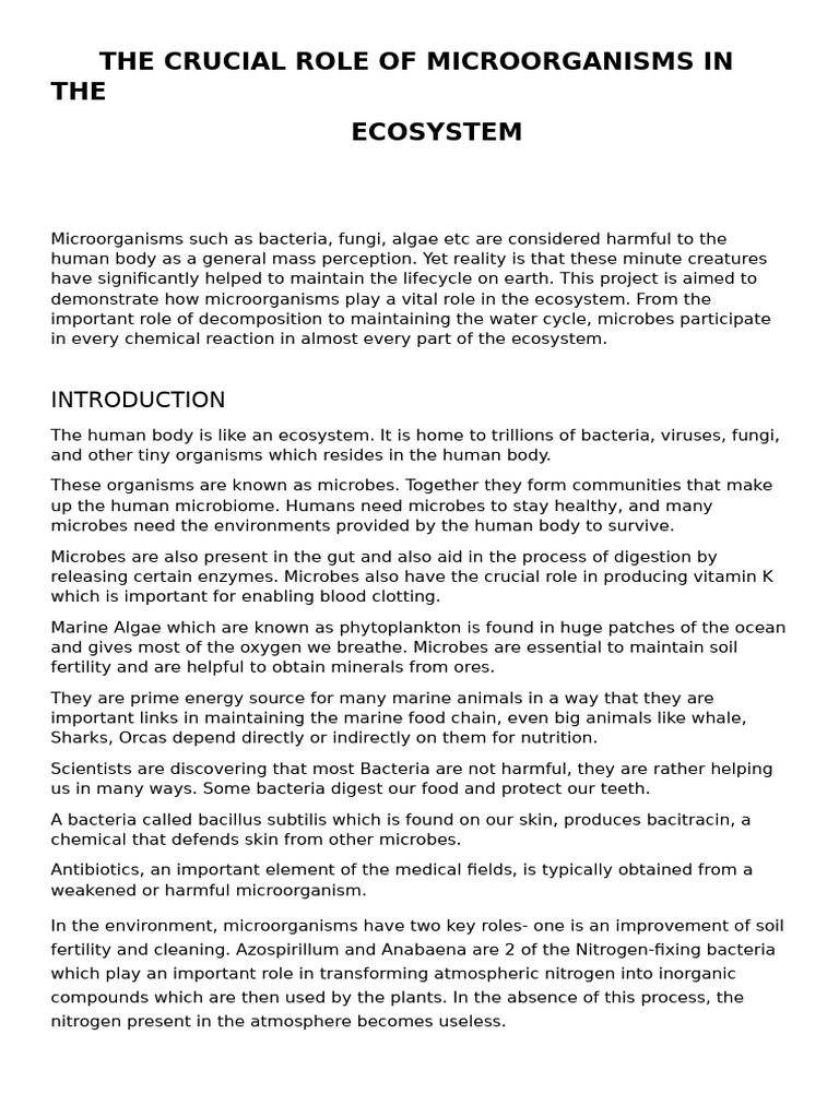 Project Microorganisms Role in Ecosystem | PDF | Microorganism | Soil