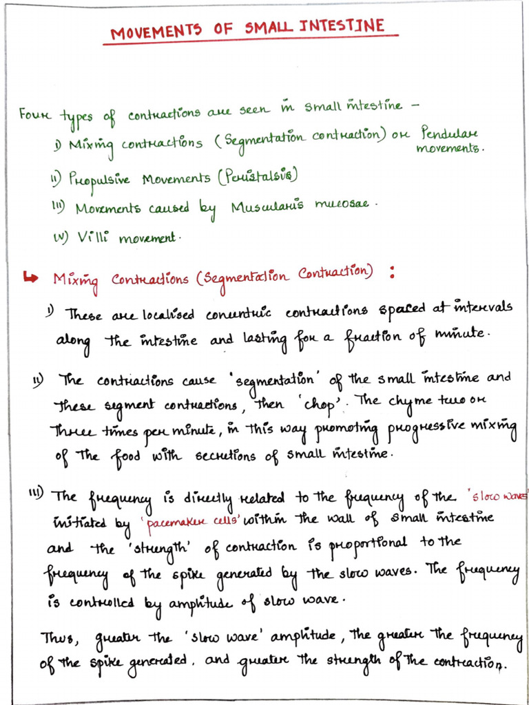 10) Movement of Small Intestine | PDF