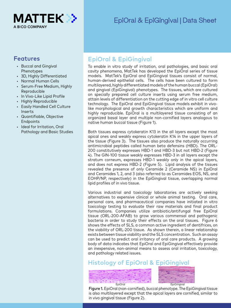 EpiOral & EpiGingival Tissue Models | PDF | Cell Culture | Toxicology