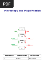 Magnification Questions | PDF | Cell (Biology) | Cell Biology