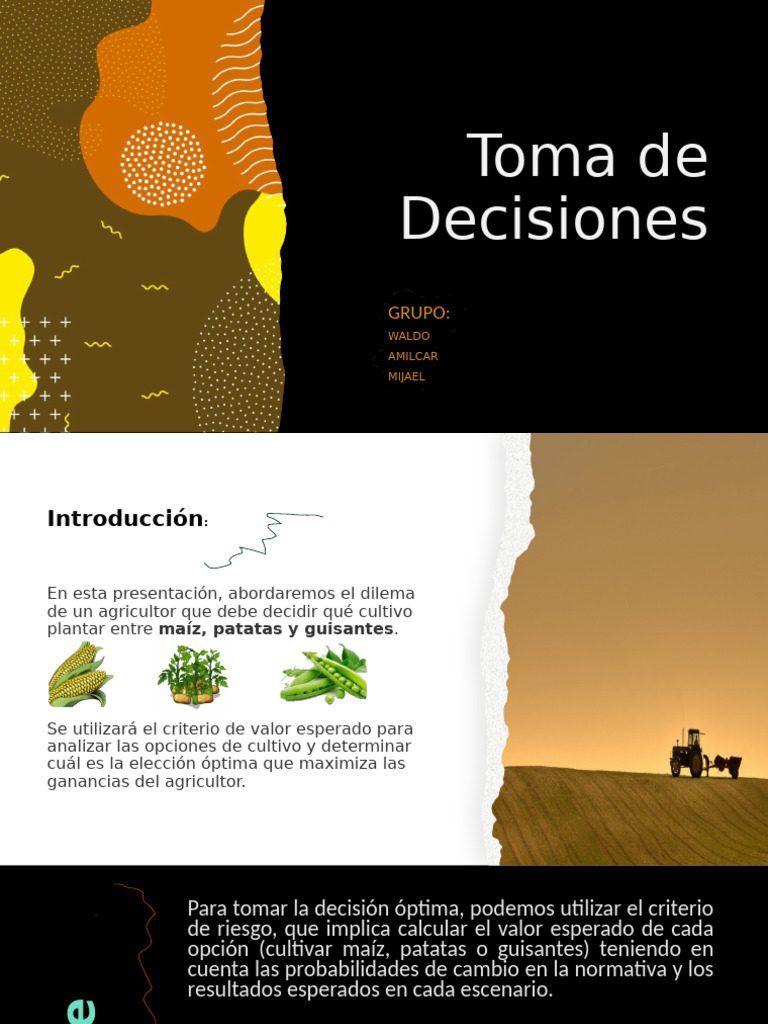 Toma de Decisiones | PDF
