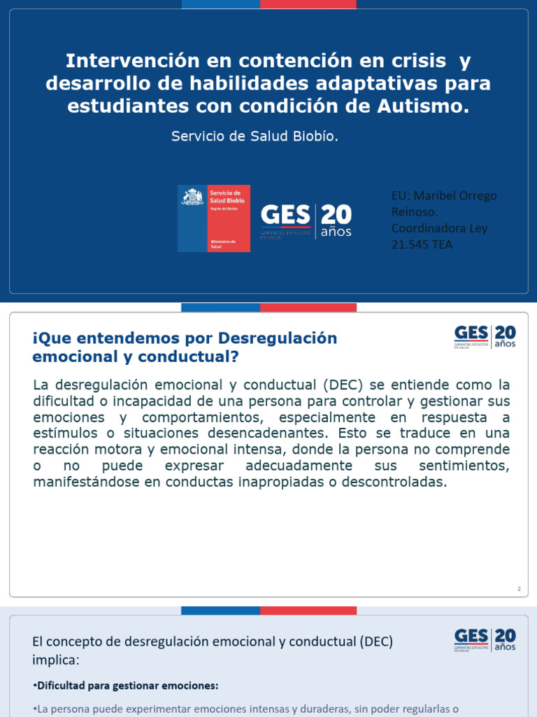 Formato Presentacion 20 Años Ges | PDF | Las emociones | Comportamiento