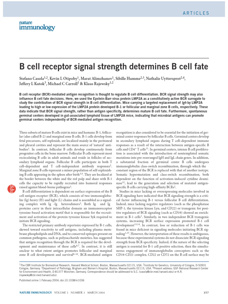 BCR Signal Strength and Fate | PDF | B Cell | Antibody