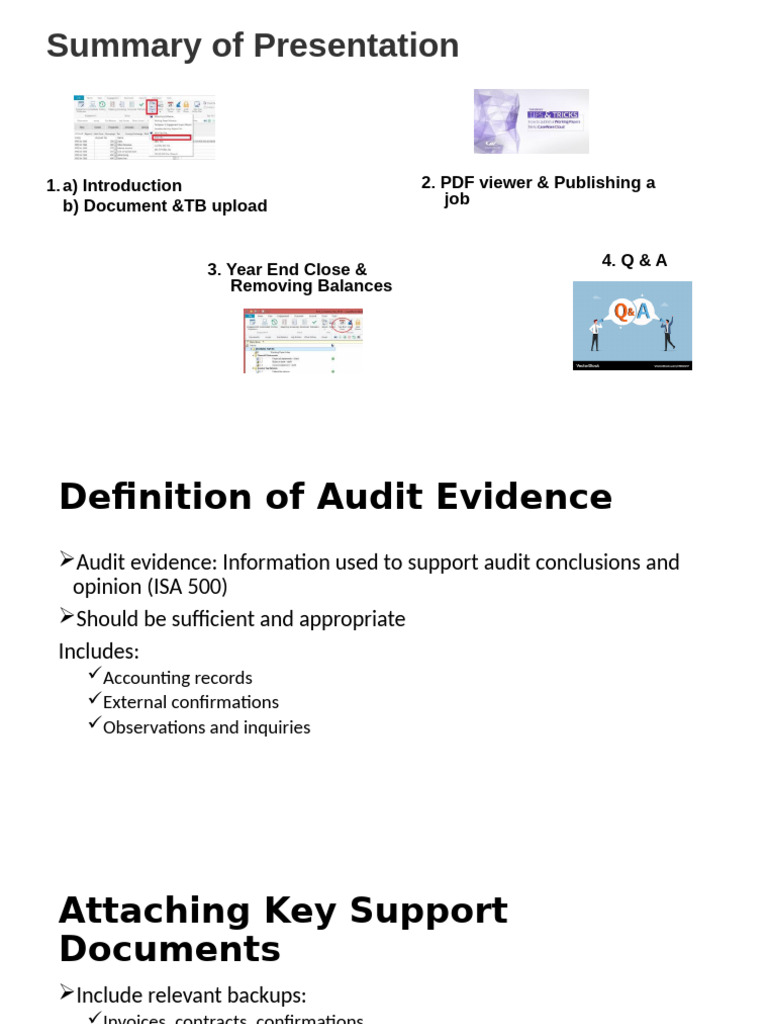 Audit Documentation (CaseWare) Scrib | PDF