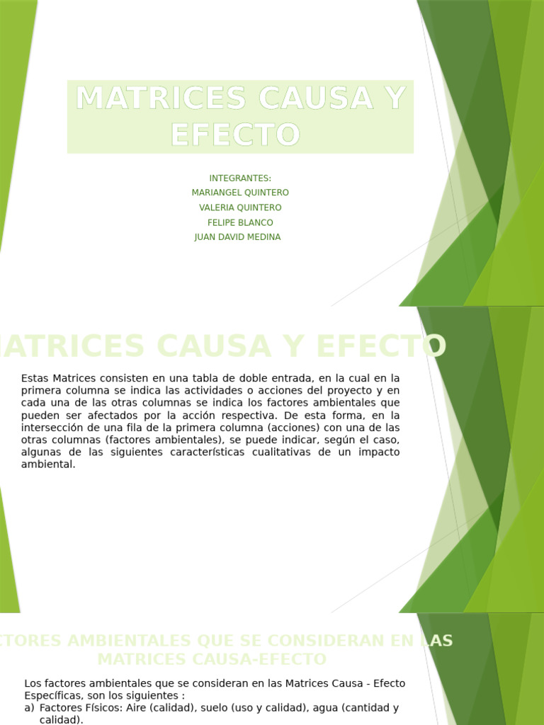 Matriz Causa- Efecto | PDF | Entorno natural | Matriz (Matemáticas)