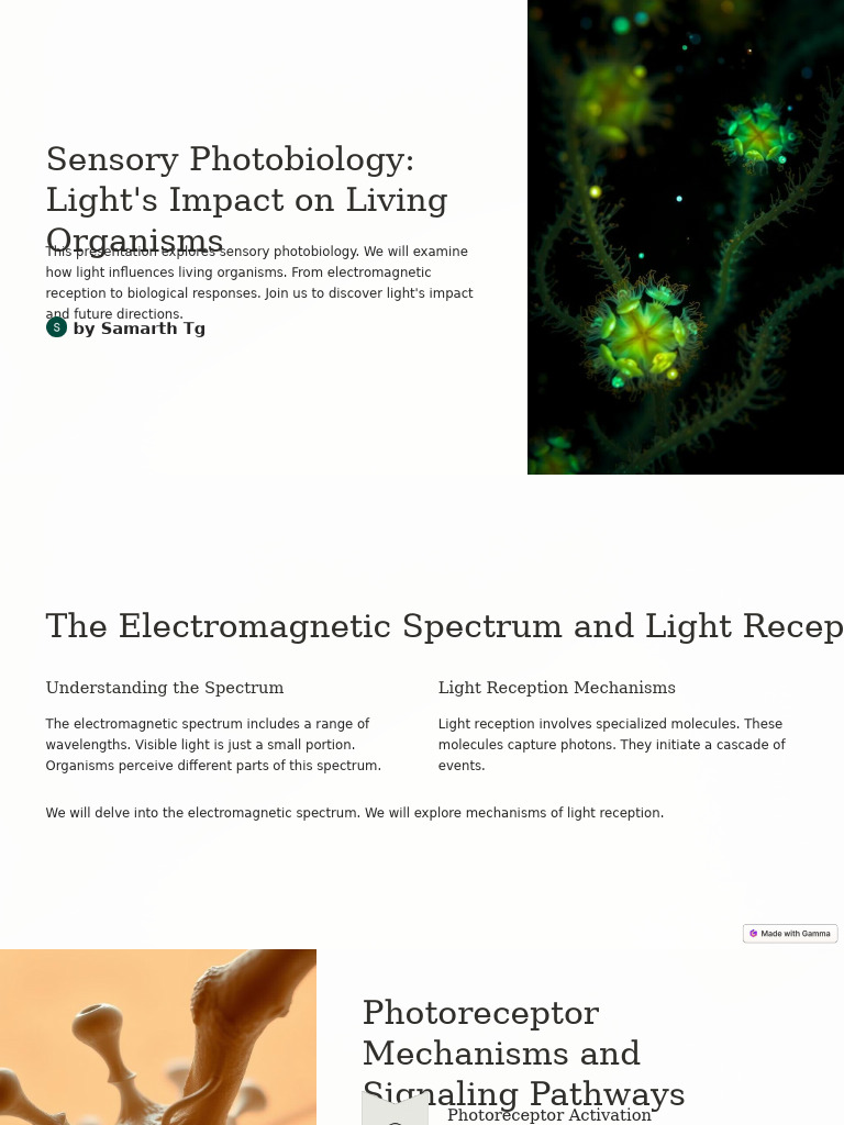 Impact of Light on Living Organisms | PDF
