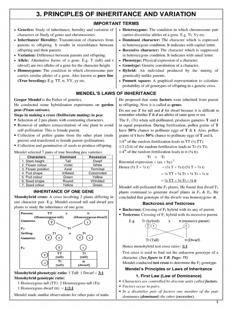 Principles of Inheritance Notes | PDF
