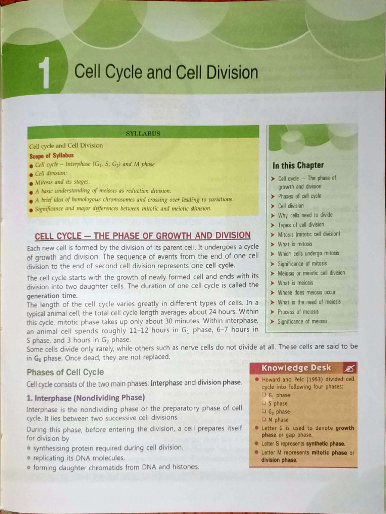 1) Cell Cycle and Cell Division | PDF