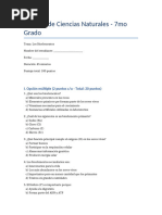 Plantilla Cédula de Identidad Honduras | PDF