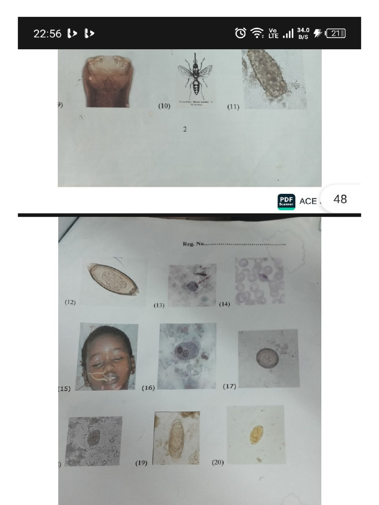 Parasitology Atlas Annotated | PDF