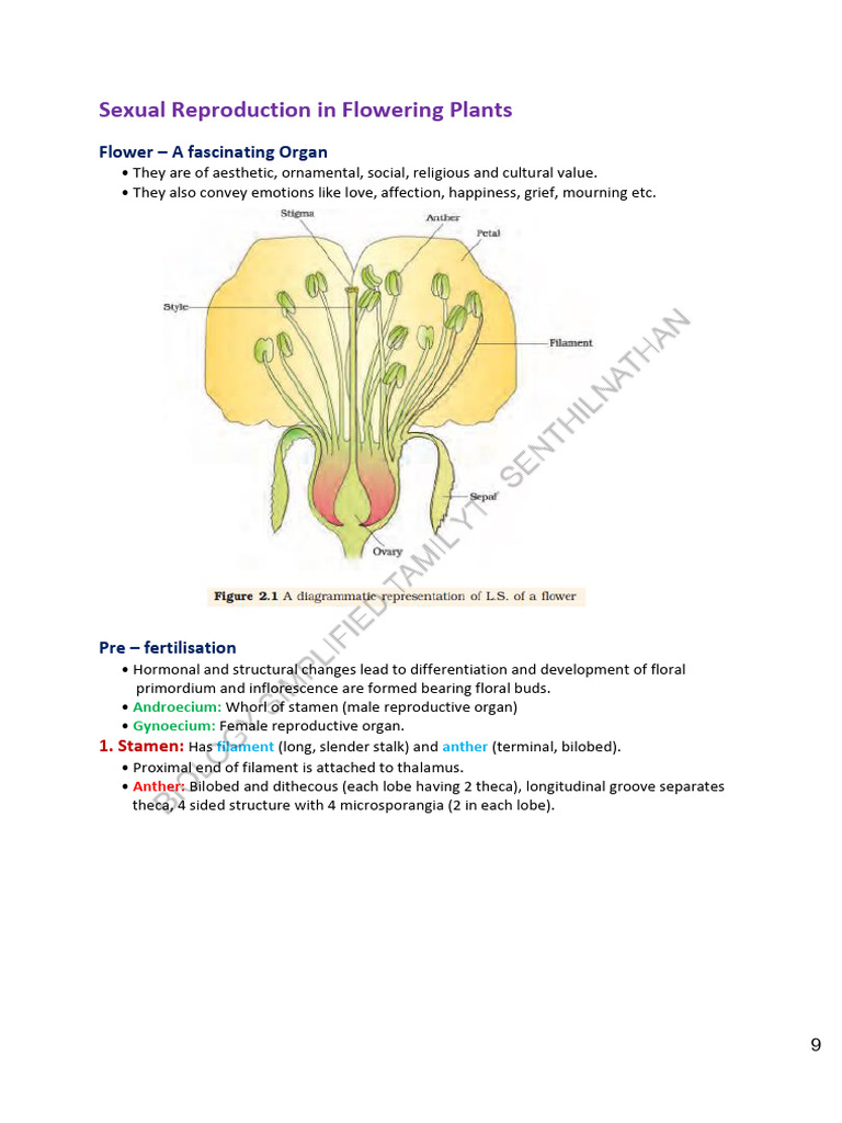 Chapter 2 Sexual Reproduction in Flowering Plant Short-Notes | PDF ...