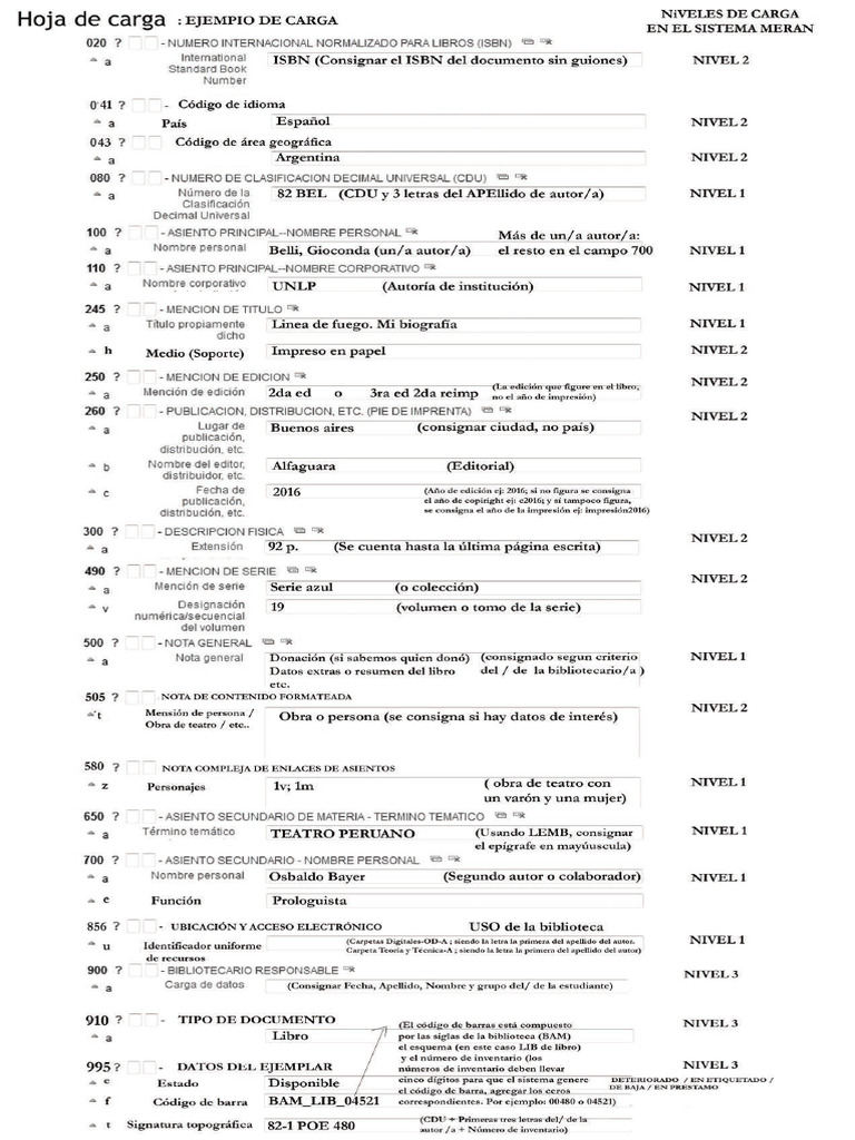 Hoja de Carga Ejemplo MERAN | PDF