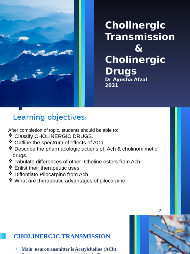 Cholinergic Drugs 2021 | PDF | Acetylcholine