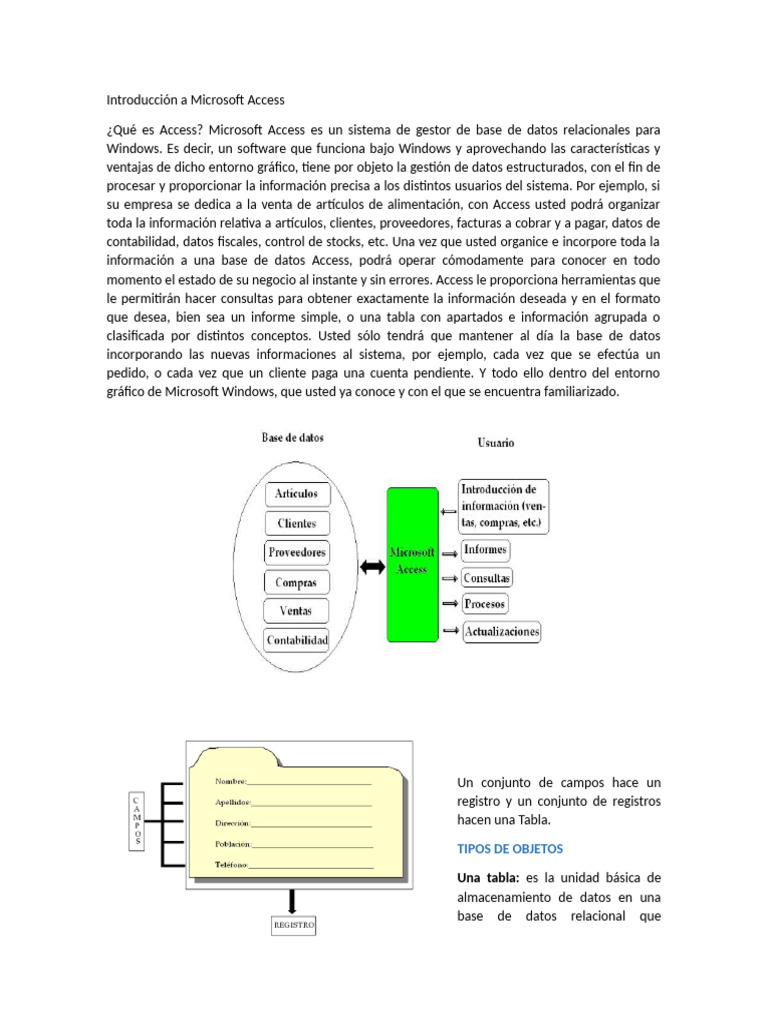 Introducción A Microsoft Access | PDF | Bases de datos | Datos