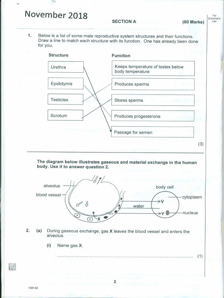 Science Worksheet | PDF