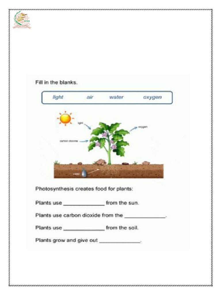 EVS Worksheet 1 | PDF