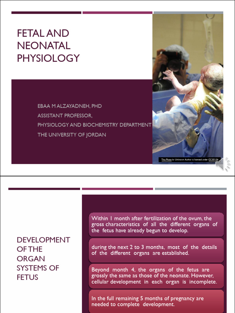 Fetal and Neonatal Physiology | PDF | Fetus | Atrium (Heart)