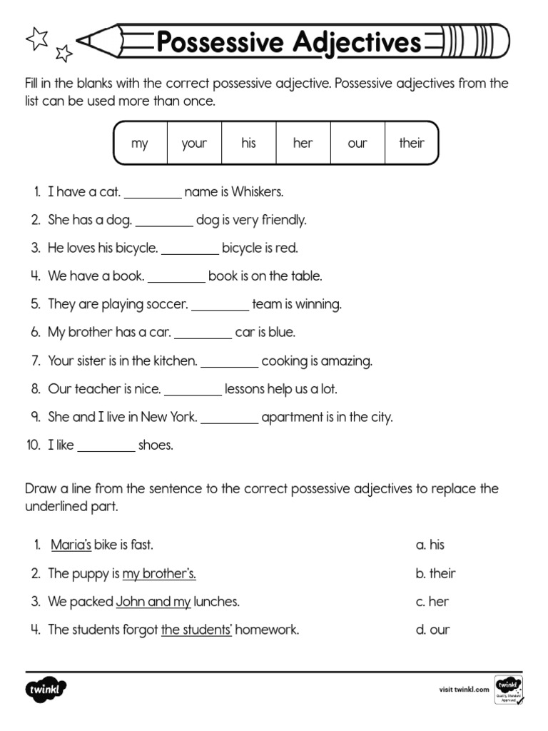Grade 1 Possessive Adjectives Worksheet | PDF