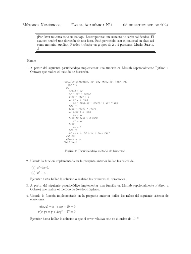 Tarea Académica 1 Métodos Numéricos 2024b | PDF