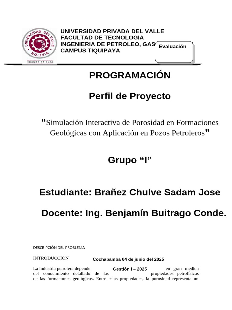 Perfil de Proyecto de Programacion | PDF