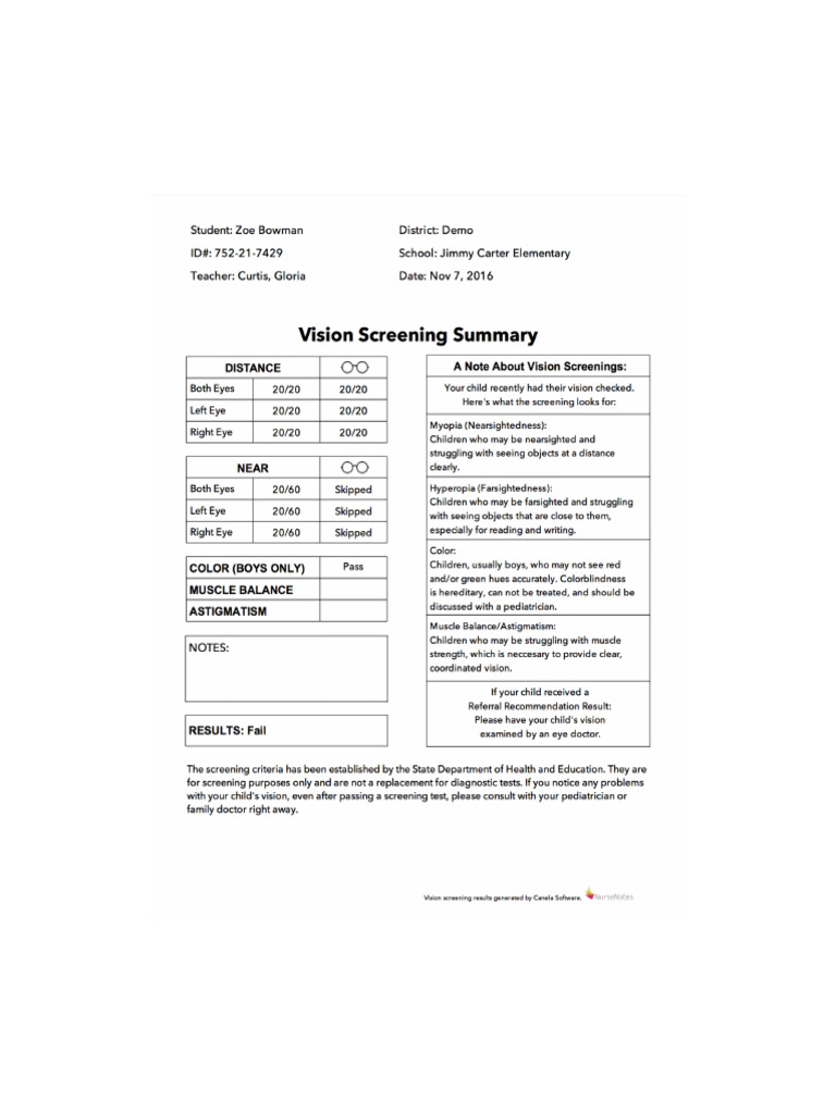 Vision Summary | PDF