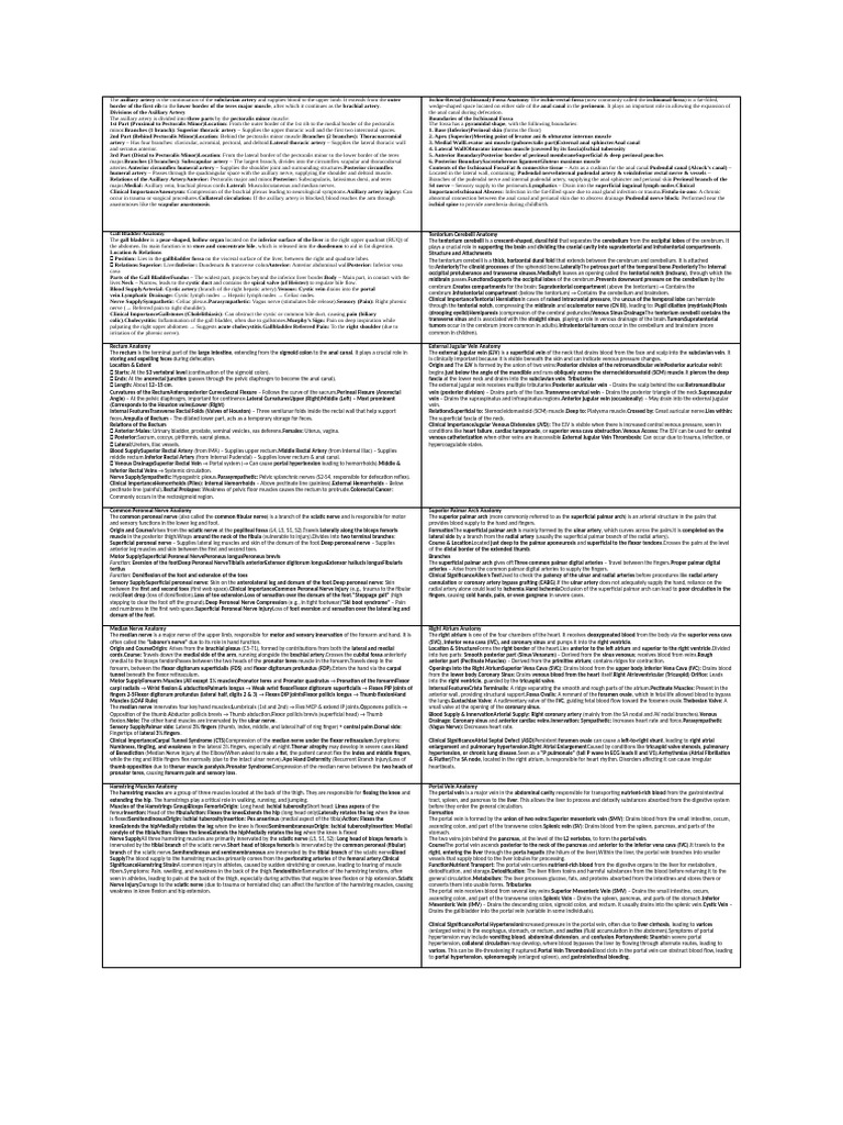 Anatomy of Axillary Artery and Ischioanal Fossa | PDF | Vein | Hand