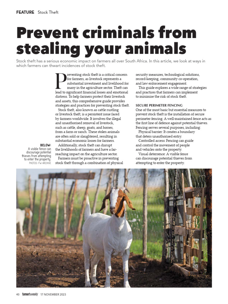 Strategies to Prevent Stock Theft | PDF | Livestock | Theft