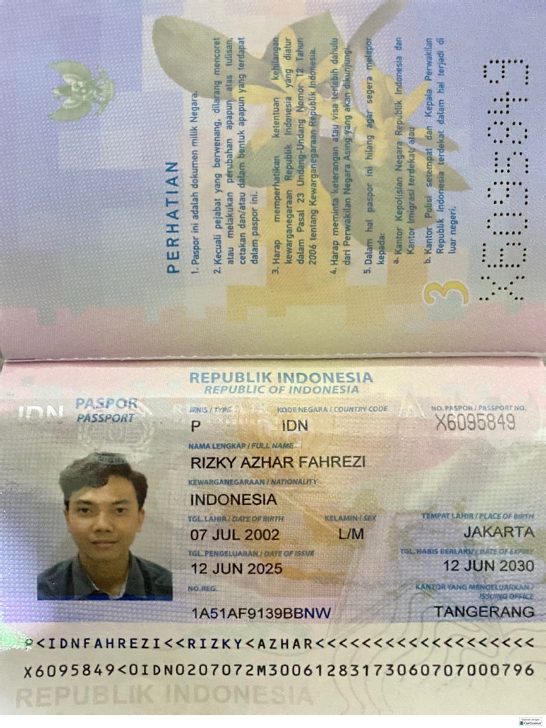 Passport | PDF