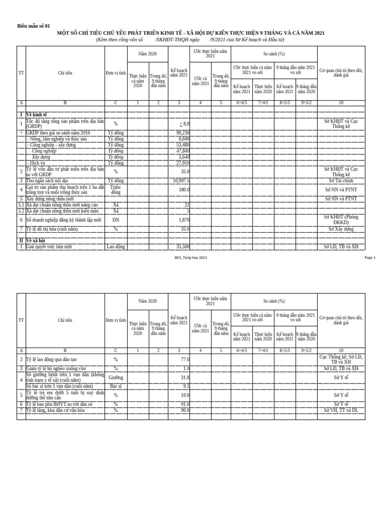Bieu Mau Bieu Bao Cao 9 Thang | PDF